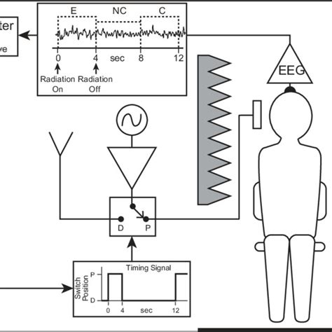 Schematic Diagram Of The Exposure And Electroencephalogram EEG Download Scientific Diagram