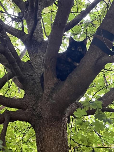 Laura Giraudi Se Dévoile Sans Soutif Rabricoff