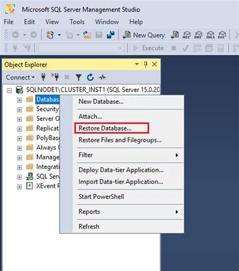 Restore A Database In The Ms Sql Server Always On Availability Group Eclipsys