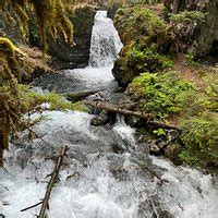 Virgin Creek Falls Trail All You Should Know Before Going 2026 With