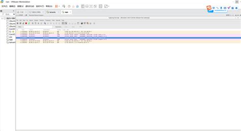 Linux虚拟网络环境和wireshark抓包软件的安装wireshark Linux安装 Csdn博客