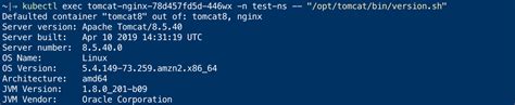 Kubectl Exec Examples Execute Shell Commands Into A POD K S