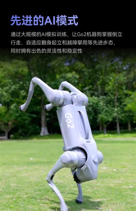 宇树unitree Go2 Pro语音ai大模型机器狗 智能仿生陪伴四足机器狗 阿里巴巴
