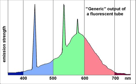 Fluorescent Light Emission Spectrum
