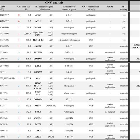 Copy Number And Single Nucleotide Variants Observed In The Iei Cohort Download Scientific
