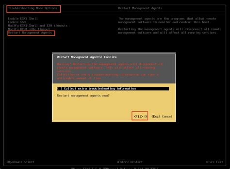 Restart Management Agents In Vmware Esxi Syneto Support Portal
