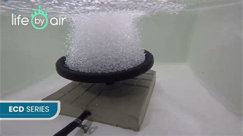Ssi Ecd Series Fine Bubble Air Disc Diffuser Aeration For Aquaculture And Aquariums Youtube