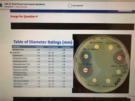 Solved Lab 12 Post Virtual Lab Analysis Questions Homework