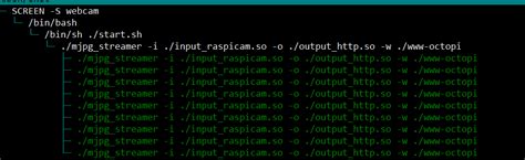Mjpg Streamer Doesn T Start With Raspberrypi Camera Webcams OctoPrint Community Forum