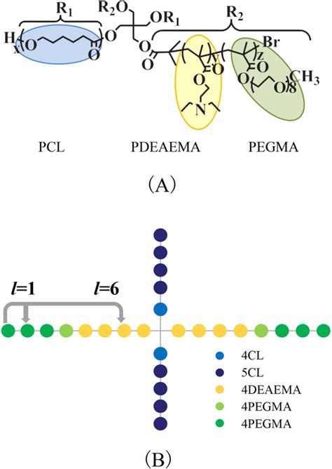 The Block Dividing Process Of Four Arm Star Copolymer Download Scientific Diagram