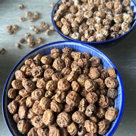 Tiger Nuts By The Kilo Tiger Nuts Usa
