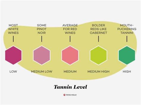 25 Wine Map Ideas Wine Folly Wine Wine Map