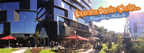 halic university trucas