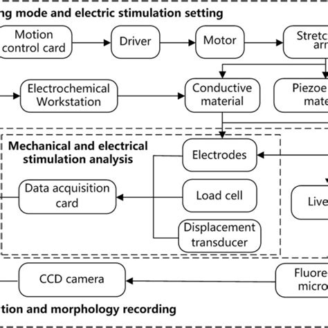 A Custom Made Labview Program Flow Chart For Stretching Control And