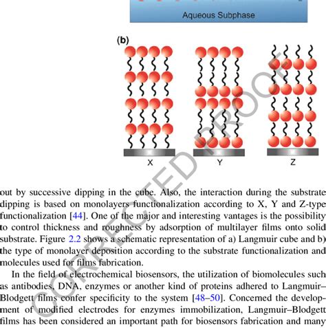 2 A Schema For A Langmuir Monolayer Obtained At Air Water Interface B Download Scientific