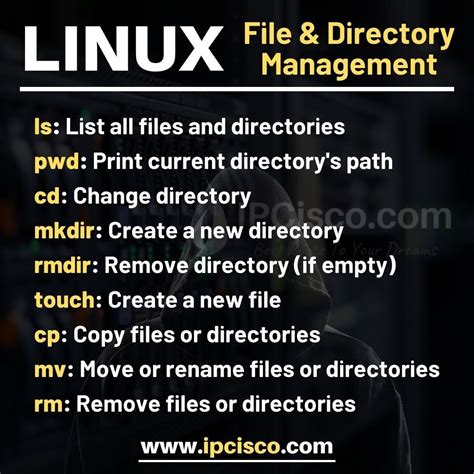 linux commands sheet for file and directory management gokhan kosem