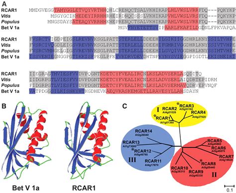Regulators Of Pp2c Phosphatase Activity Function As Abscisic Acid Sensors Science