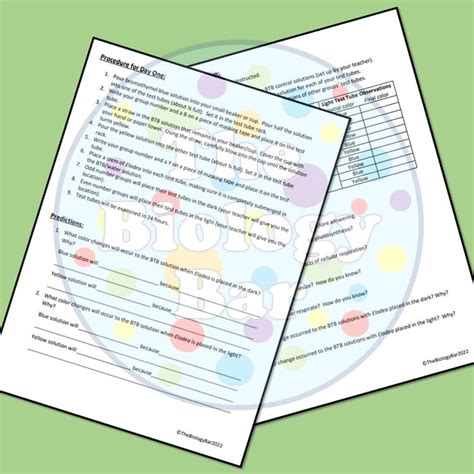 Photosynthesis And Cellular Respiration Lab Bromothymol Blue And Elodea