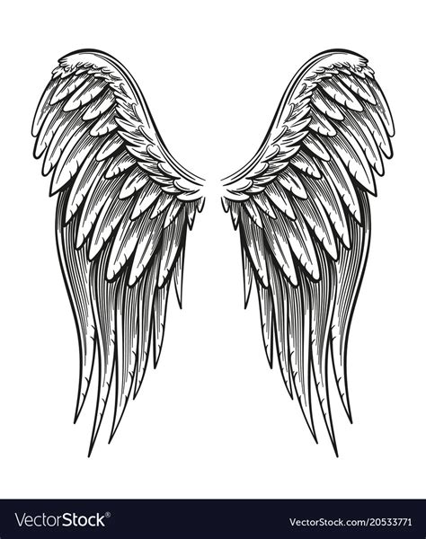 Hand Drawn Wings Royalty Free Vector Image Vectorstock
