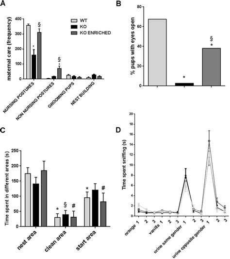 Maternal Care Assessment And Developmental Behavioural Traits In Wt Ko
