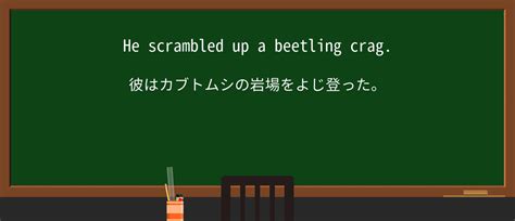 【英単語】beetlingを徹底解説！意味、使い方、例文、読み方 おもしろい英文法