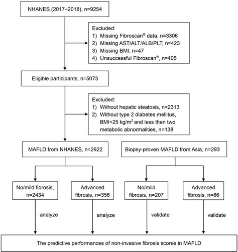 Flowchart For The Analysis And Validation Of Noninvasive Fibrosis Download Scientific Diagram