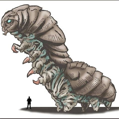 Mothra Larva Wallpapers Wallpaper Cave