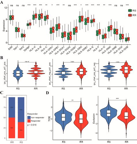 Uncovering A Novel Dna Repair Related Radiosensitivity Model For Evaluation Of Radiotherapy