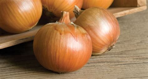 Кромид лук елексирът срещу атеросклероза и диабет рецепти