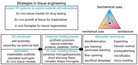 Material And Fabrication Methods For Tissue Engineering Constructs