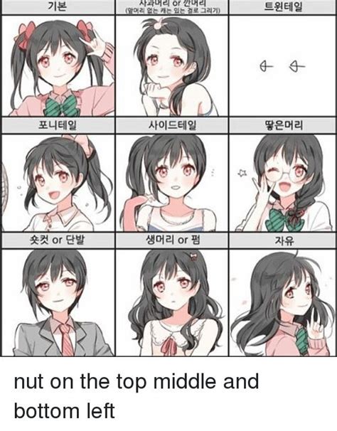 2d로 알아보는 여자 헤어스타일  클리앙 만화 머리 캐릭터 일러스트 헤어스타일