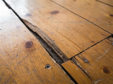 How To Fix Scratched Floorboards In Simple Steps Realestate Com Au
