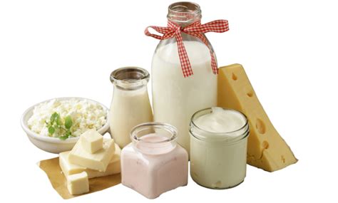 Milk Some People May Find That Dairy Products Can Contribute To