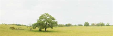 Site Map Ibrance® Palbociclib Safety Info