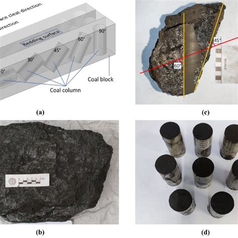 A Schematic Diagram Of The Sampling B Fresh Coal Sample Collected Download Scientific