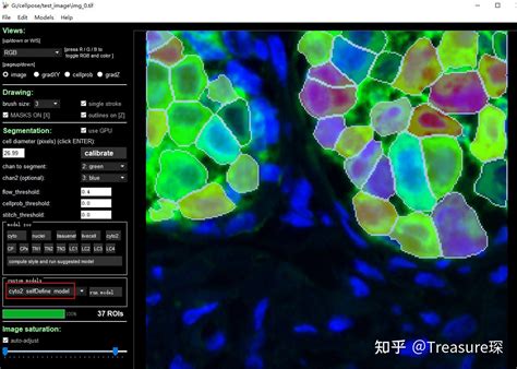 cellpose 2 0——利用自己的数据训练模型 知乎