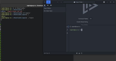 lapce takes control of terminal when opened via one · issue 1169