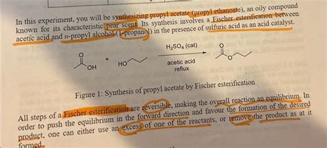 Solved In This Experiment You Will Be Synthesizing Propyl