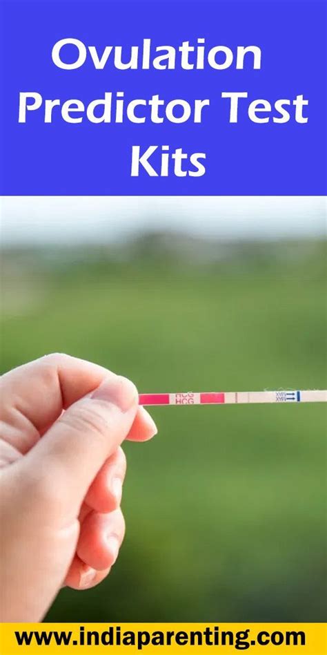Ovulation Predictor Test Kits Ovulation Predictor Ovulation Predictor Kit Ovulation