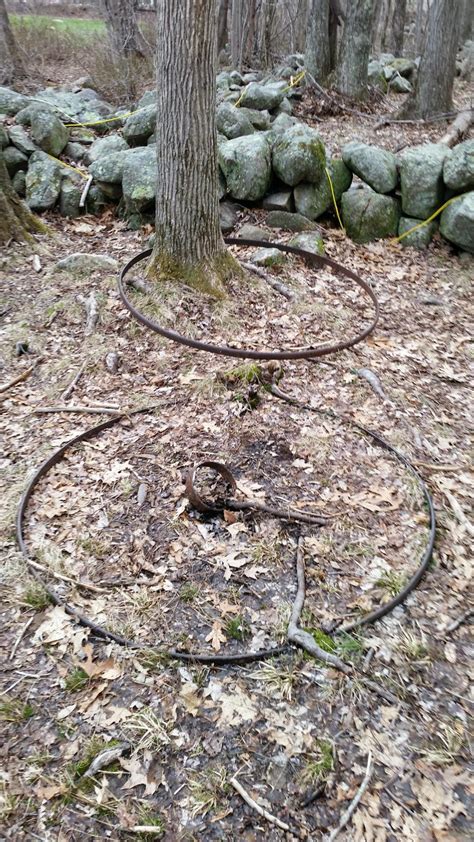 Suck Me Mama Like A Wagon Wheel R TreesSuckingOnThings