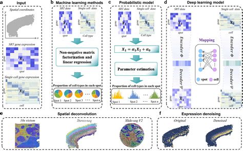 Computational Modeling For Deciphering Tissue Microenvironment Heterogeneity From Spatially