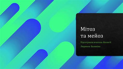 Презентація Мітоз та Мейоз Презентація Біологія