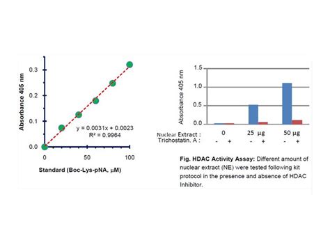 Apexbio Hdac Activity Colorimetric Assay Kit Detects Hdac Activity
