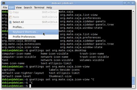 mate terminal on pi 400 doesn t recognize ctrl c raspberry pi