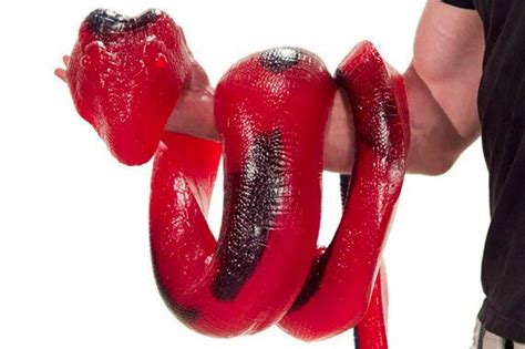 Gummy Python Weighs Nearly 27 Pounds And Packs 36 000 Calories