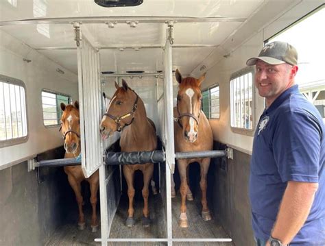 Royal Oaks Transport