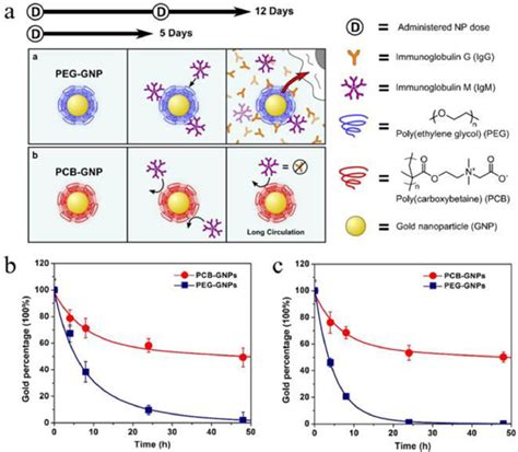 Zwitterionic Polymers Addressing The Barriers For Drug Delivery