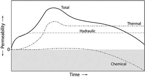 Conceptual Model Of Permeability Altering Processes In An Engineered