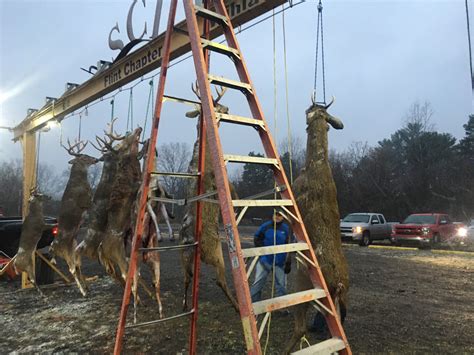 Buck Pole Ideas