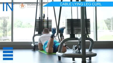 Lying Hamstring Curls